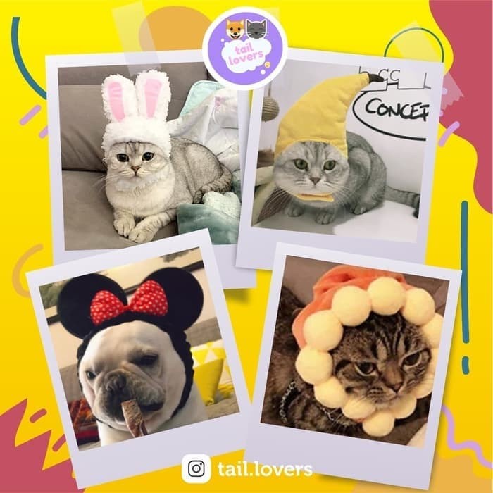 Jual Topi Lucu Kucing Anjing Kecil Baju Hewan Model Telinga Kelinci ...