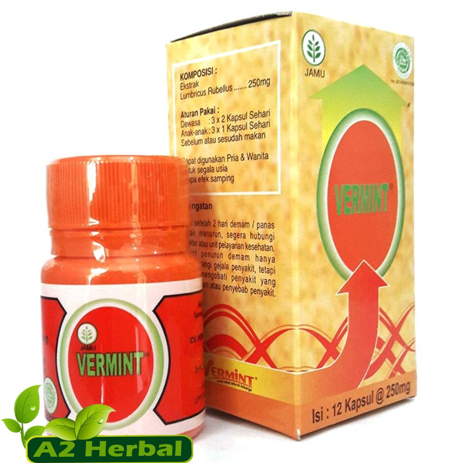 Jual Vermint | Vermin | Obat Penyakit Tifus / Tipes / Typus 12 Kapsul ...