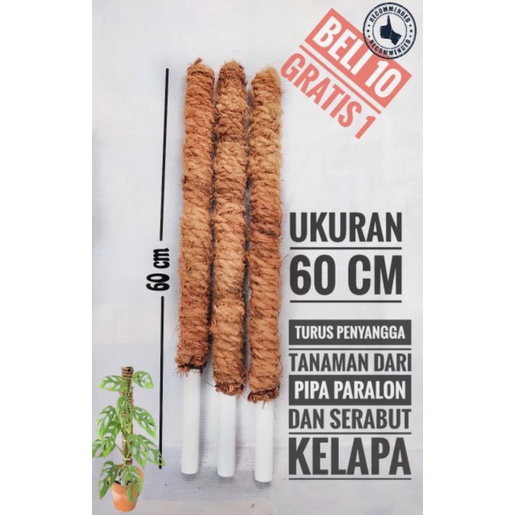 Jual Turus penyangga tanaman - turus tanaman rambat pipa paralon 60cm ...