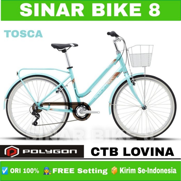 Jual Sepeda Mini Keranjang City Bike Dewasa Ukuran 26 Inch Polygon ...