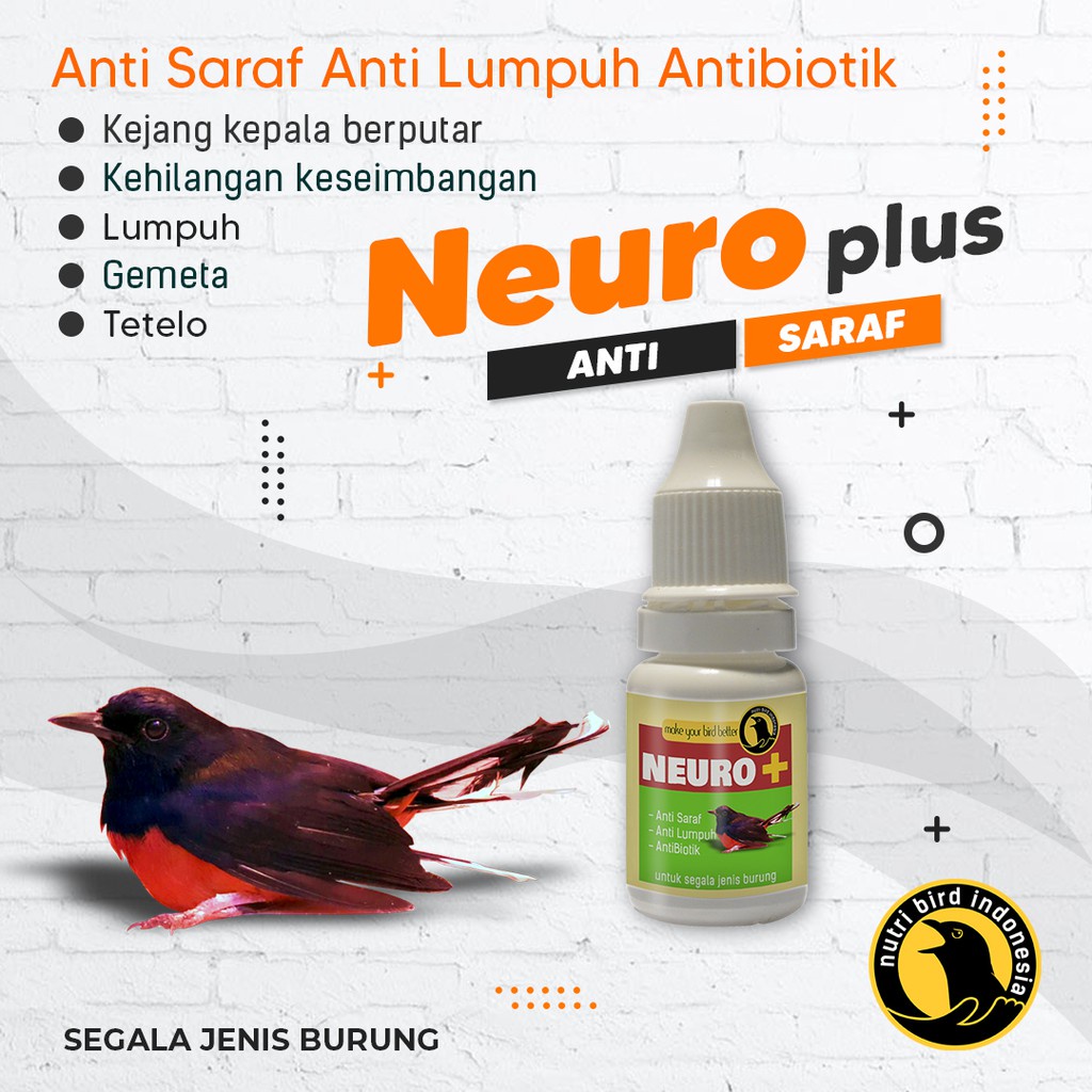 Jual NEURO PLUS Obat Burung Anti Saraf , Anti Lumpuh , Anti Kejang dan ...