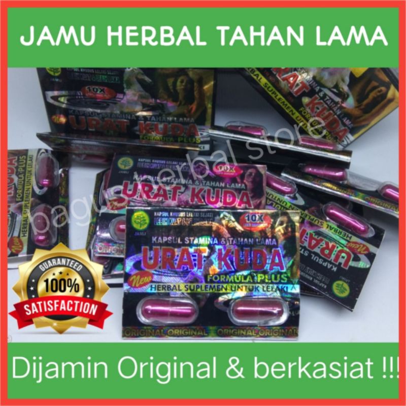 Jual URAT KUDA ORIGINAL/ASLI - JAMU KUAT PRIA HERBAL - TAHAN LAMA | Shopee Indonesia