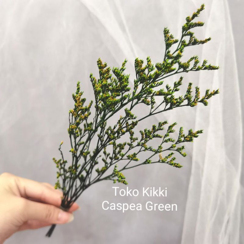 Jual 1 ikat Limonium Caspea Bunga Kering Dried Flower Bunga | Shopee ...
