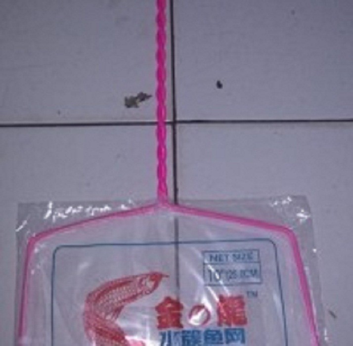 Jual Serokan Golden 7 Inch Jaring Serok Seser Ikan Hias Kecil Besi ...