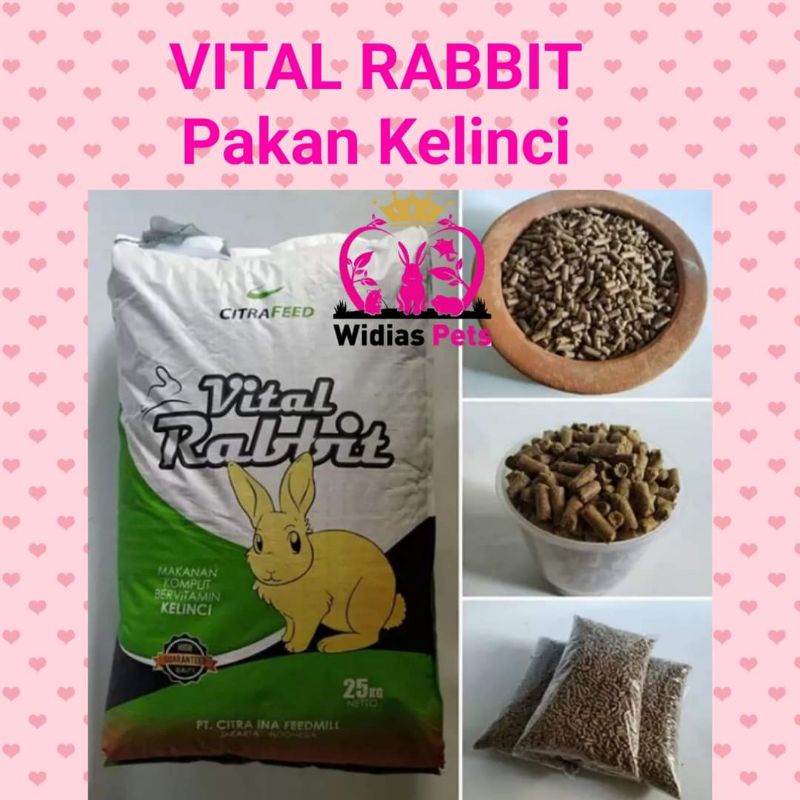Jual vital rabbit 1kg makanan kelinci | Shopee Indonesia