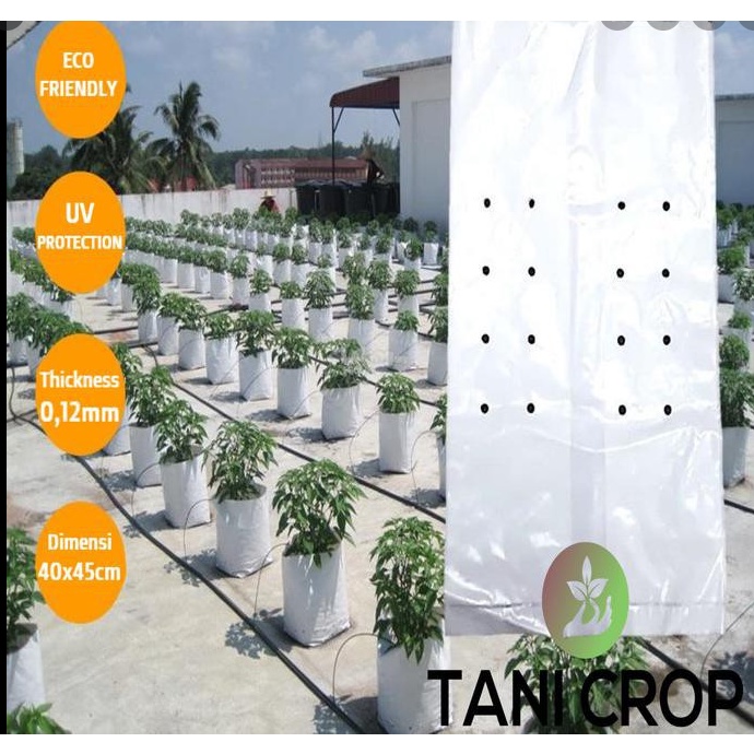 Jual Plastik Polibag Polybag Putih 40x45cm 25 Lembar/pack PREMIUM ...