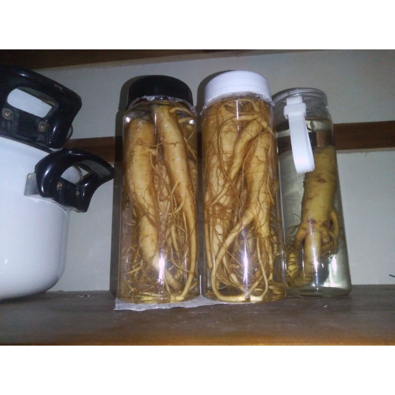 Jual ginseng,merah korea+botol,600ml ISi Besar(COD) | Shopee Indonesia