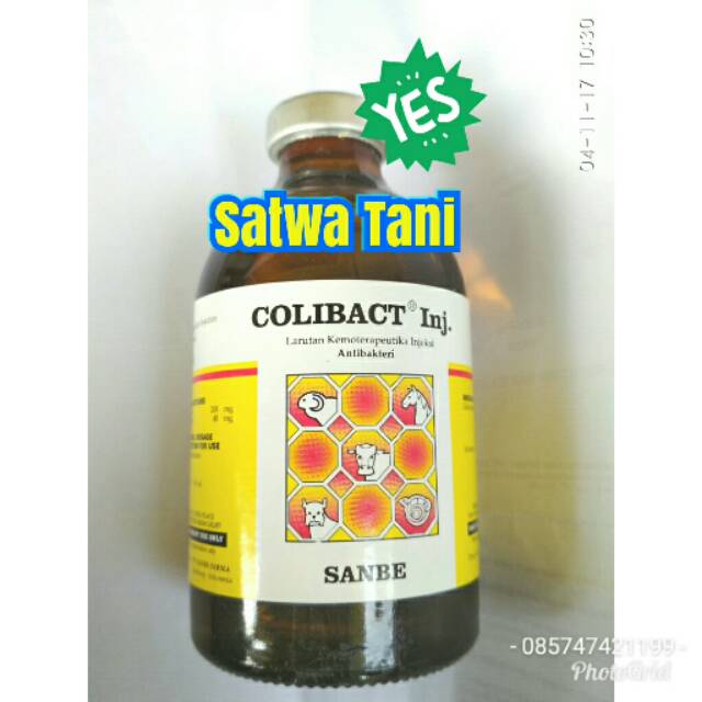 Jual COLIBACT inj. 50 ml (obat diare dan pernafasan) | Shopee Indonesia