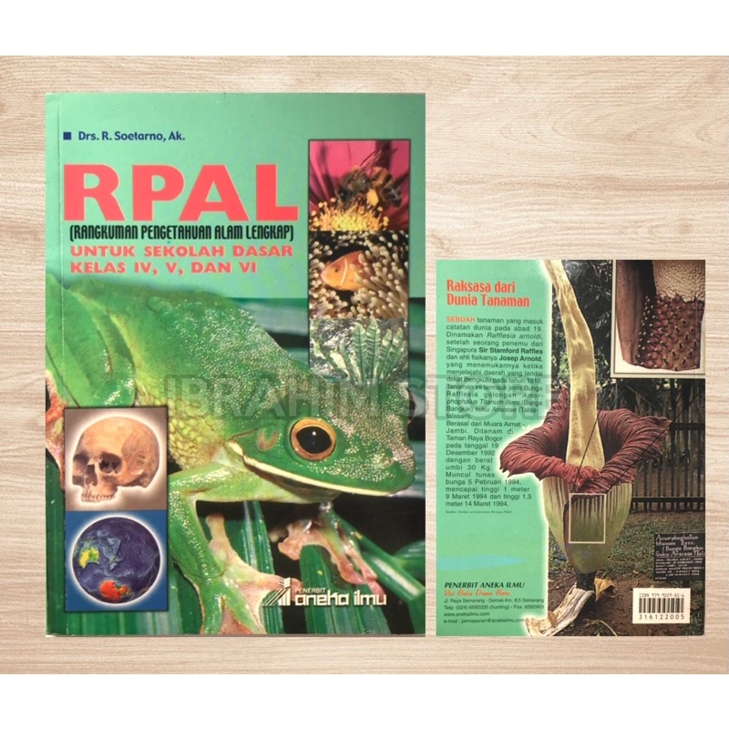 Jual Buku RPAL untuk Anak SD | Shopee Indonesia