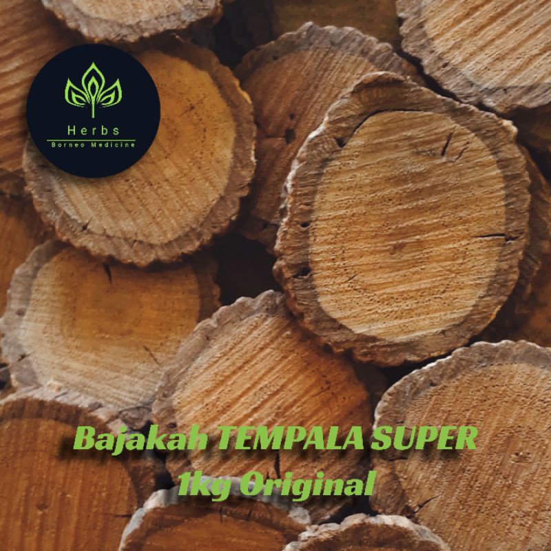 Jual Akar Bajakah-kayu bajakah-bajakah-bajaka -TEMPALA SUPER-ASLI 100% ...