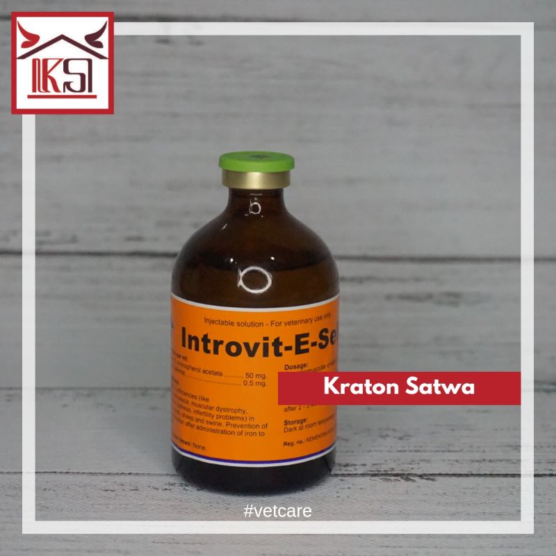 Jual INTROVIT E SELEN 100 ml Vitamin E Selenium untuk Kesuburan ...