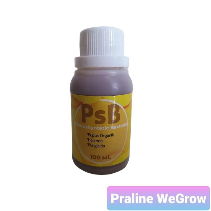 Jual Pupuk Organik Cair 100 ML PSB Photosintesis Bakteri Meningkatkan ...