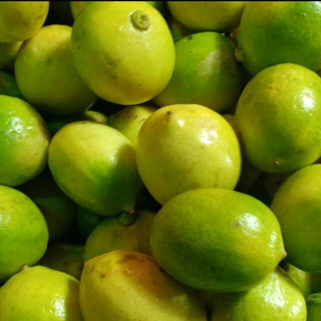 Jual Jeruk Lemon Lokal per 1kg | Shopee Indonesia