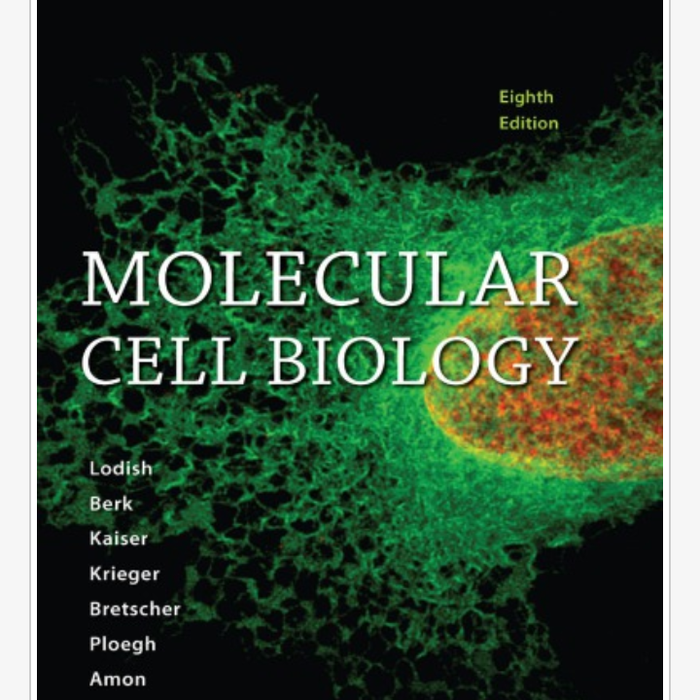 Jual Buku - Molecular Cell Biology Harvey Lodish, Arnold Berk, Chris A ... Jual Buku - Molecular Cell Biology Harvey Lodish, Arnold Berk, Chris A ...