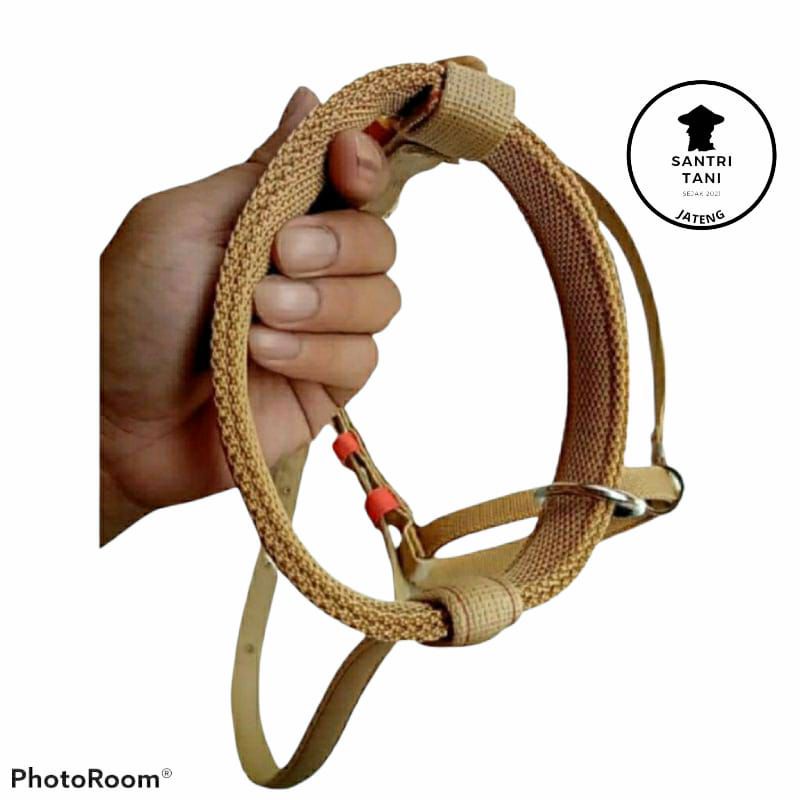 Jual Tali Keluh Brangus Kepala Sapi Size S Murah Untuk Sapi Kecil ...