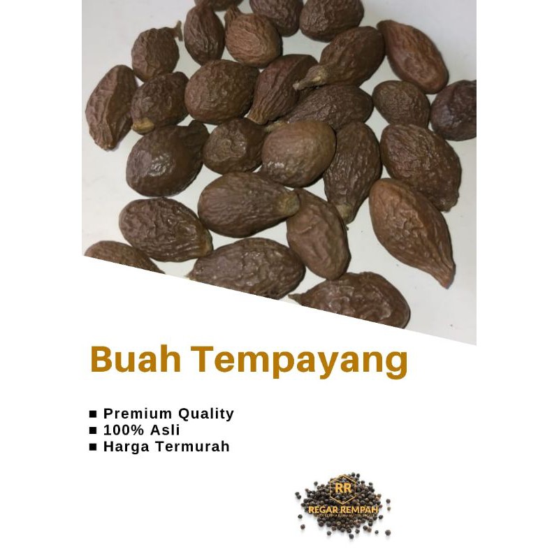 Jual buah tempayang / buah kembang semangkuk/semangkok 1 kg | Shopee ...