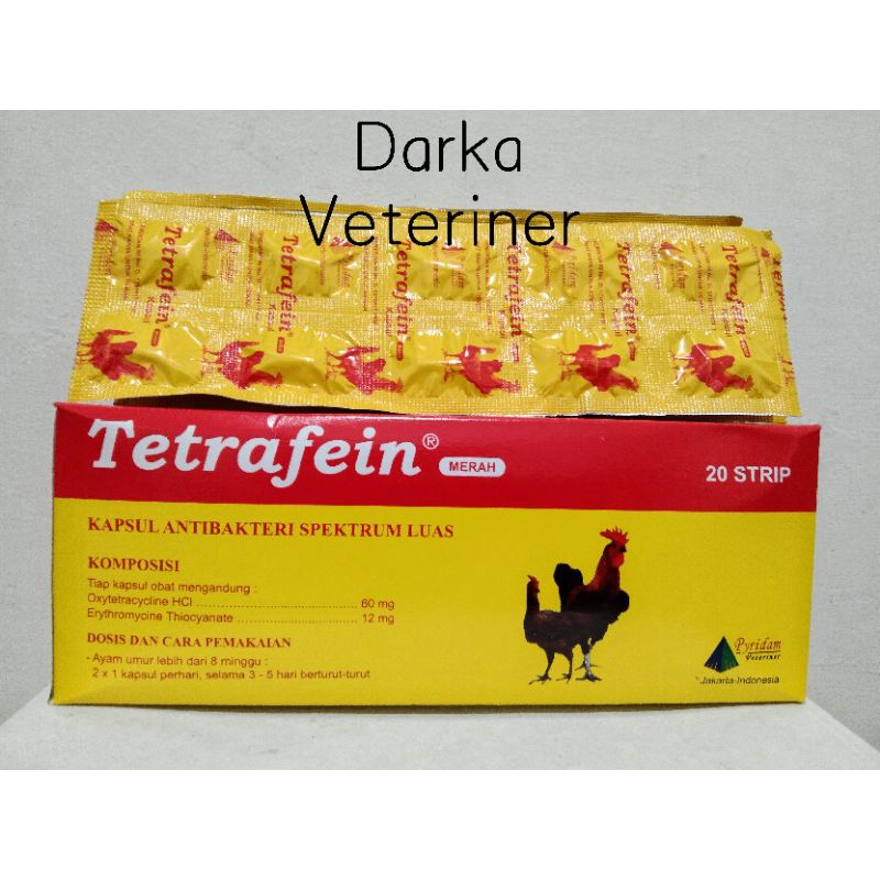 Jual Tetrafein® merah kapsul (obat anti SNOT, CRD dan antibakteri) ~ 1 ...