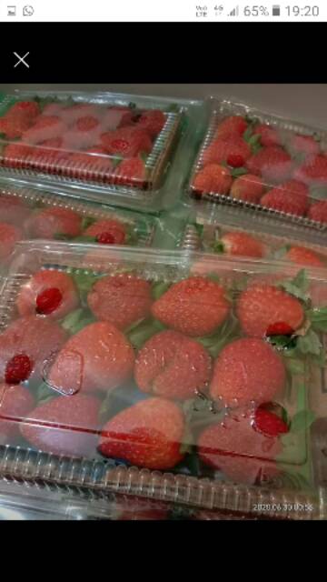 Jual BUAH STRAWBERRY MERAH FRESH 1 PACK | Shopee Indonesia