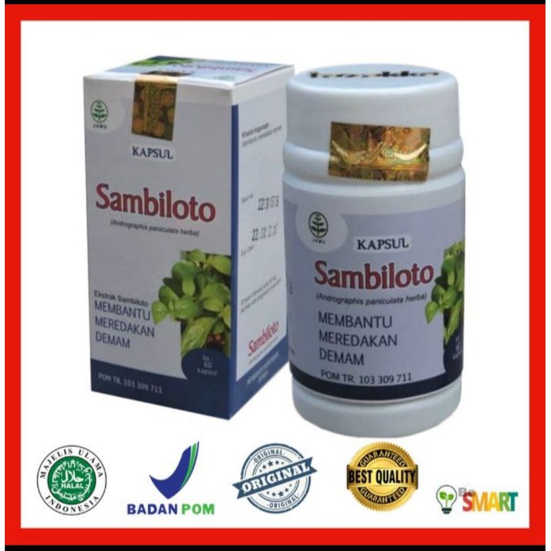 Jual kapsul sambiloto obat demam obat diabetes obat virus original isi ...
