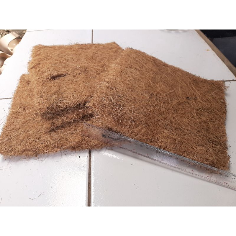 Jual alas sarang burung merpati, tempat telor burung serabut kelapa ...