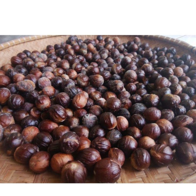 Jual biji pala kering 1kg | Shopee Indonesia