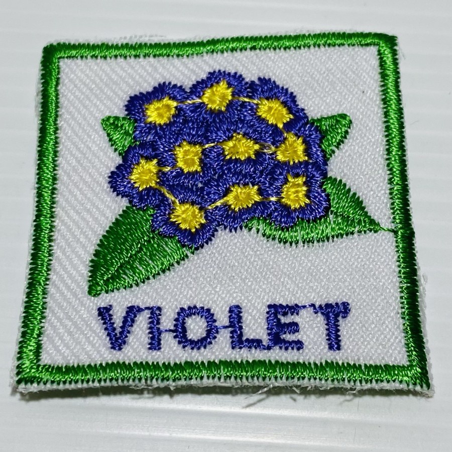 Jual Tanda Regu Pramuka Penggalang Putri + Bendera Regu Bet Badge ...