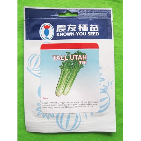 Jual Benih Seledri Batang Besar Tall Utah Pack - 5 Gram - Known You ...