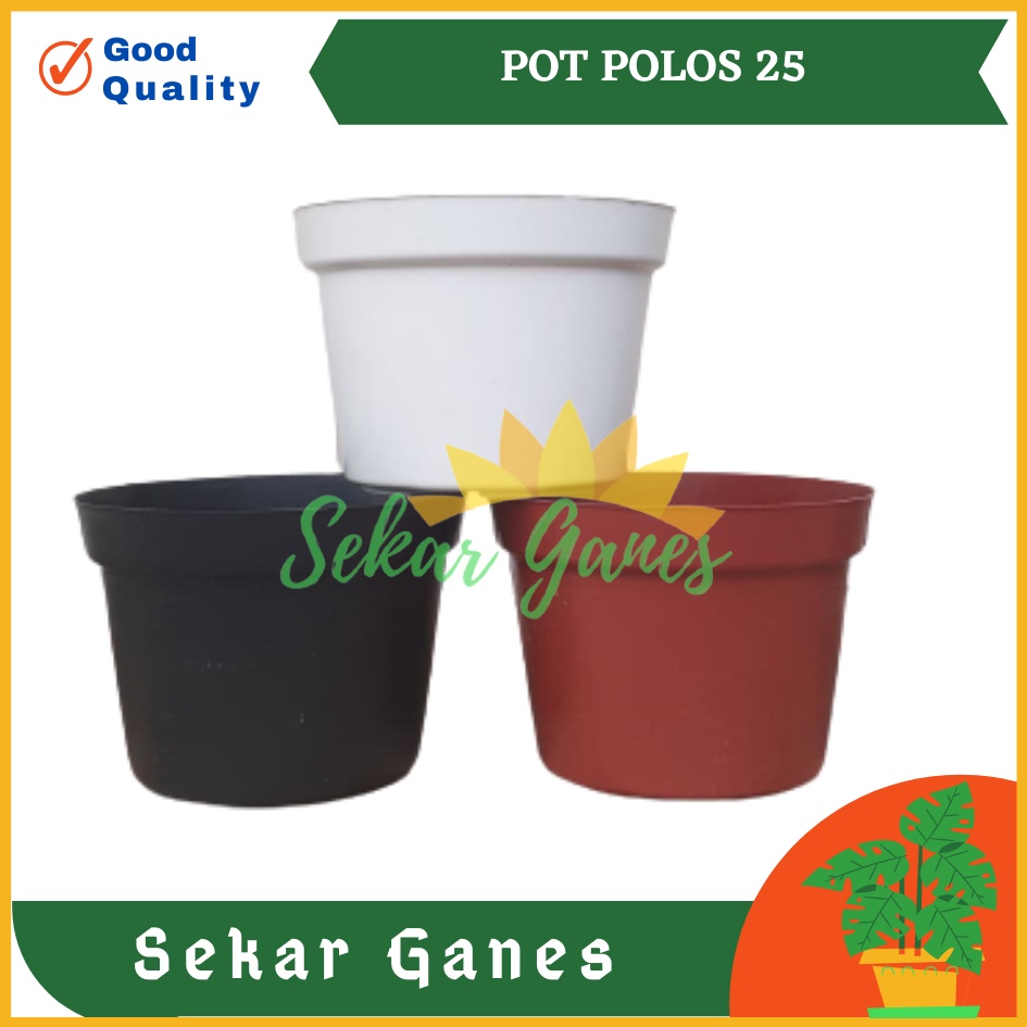 Jual Sekarganes Pot 25 Putih Hitam Merah Bata Coklat Terraccota ...