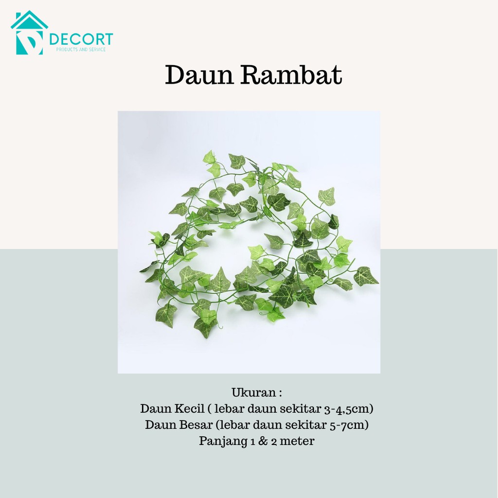 Jual Daun Rambat Monstera Ivy | Shopee Indonesia
