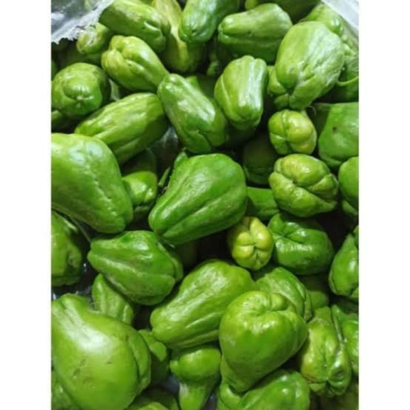 Jual Labu ACAR | Shopee Indonesia