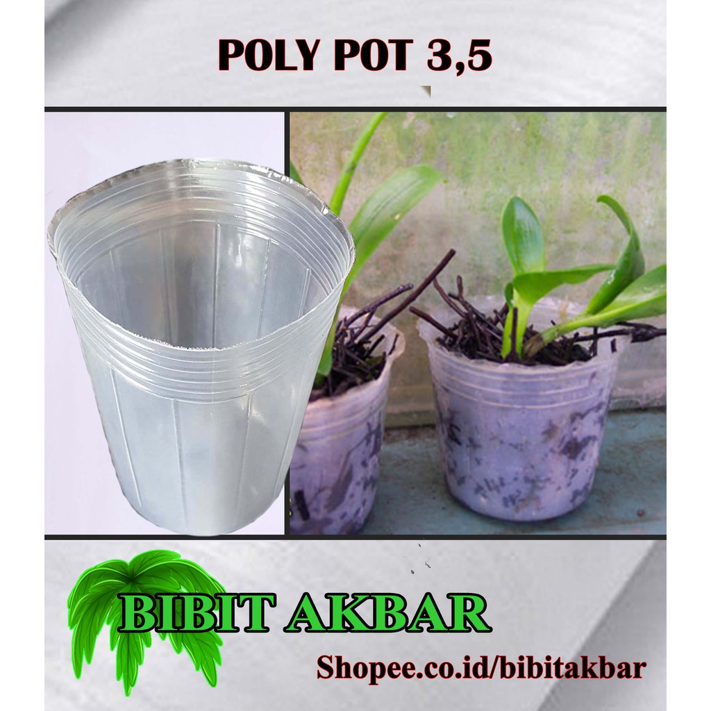 Jual Poly Pot Bening 3,5 (100 pcs) | Shopee Indonesia