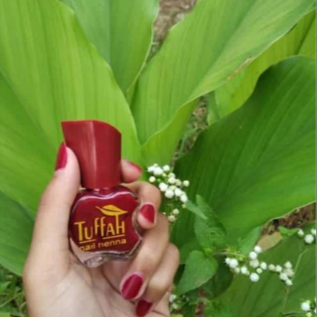 Jual Tuffah nail henna ( 1kg muat 4/5pcs) | Shopee Indonesia