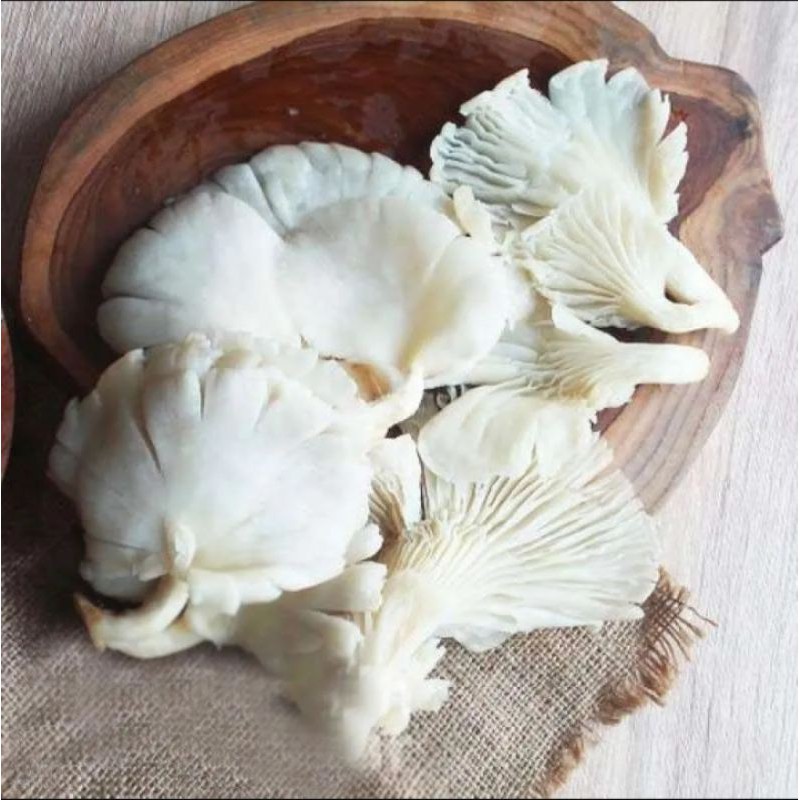 Jual JAMUR TIRAM 2 BUNGKUS / SAYUR ONLINE | Shopee Indonesia