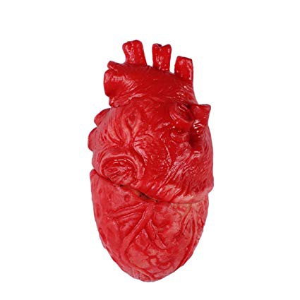 Jual FAHR fake heart jantung hati palsu halloween properti dekorasi ...