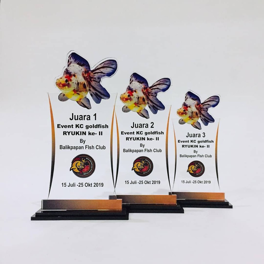 Jual PLAKAT AKRILIK PERLOMBAAN IKAN HIAS TROPHY CUPANG MURAH (DESAIN ...