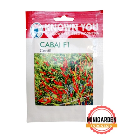 Jual CABAI CENTIL 100 BIJI PACK KECIL benih cabai rawit cabe f1 unggul ...