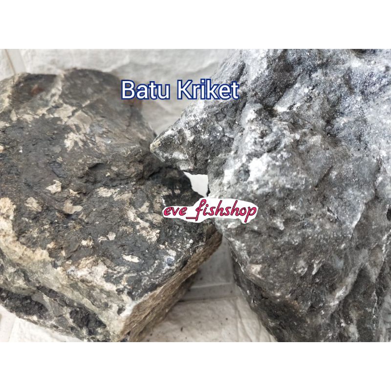 Jual Batu Kriket Batu Aquarium Hiasan Dasar Aquarium 1 kg | Shopee ...