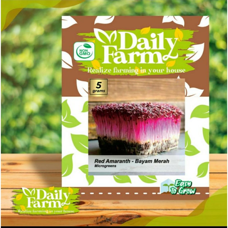 Jual Benih Microgreen Red Amaranth - Bibit Bayam Merah - Daily Farm ...