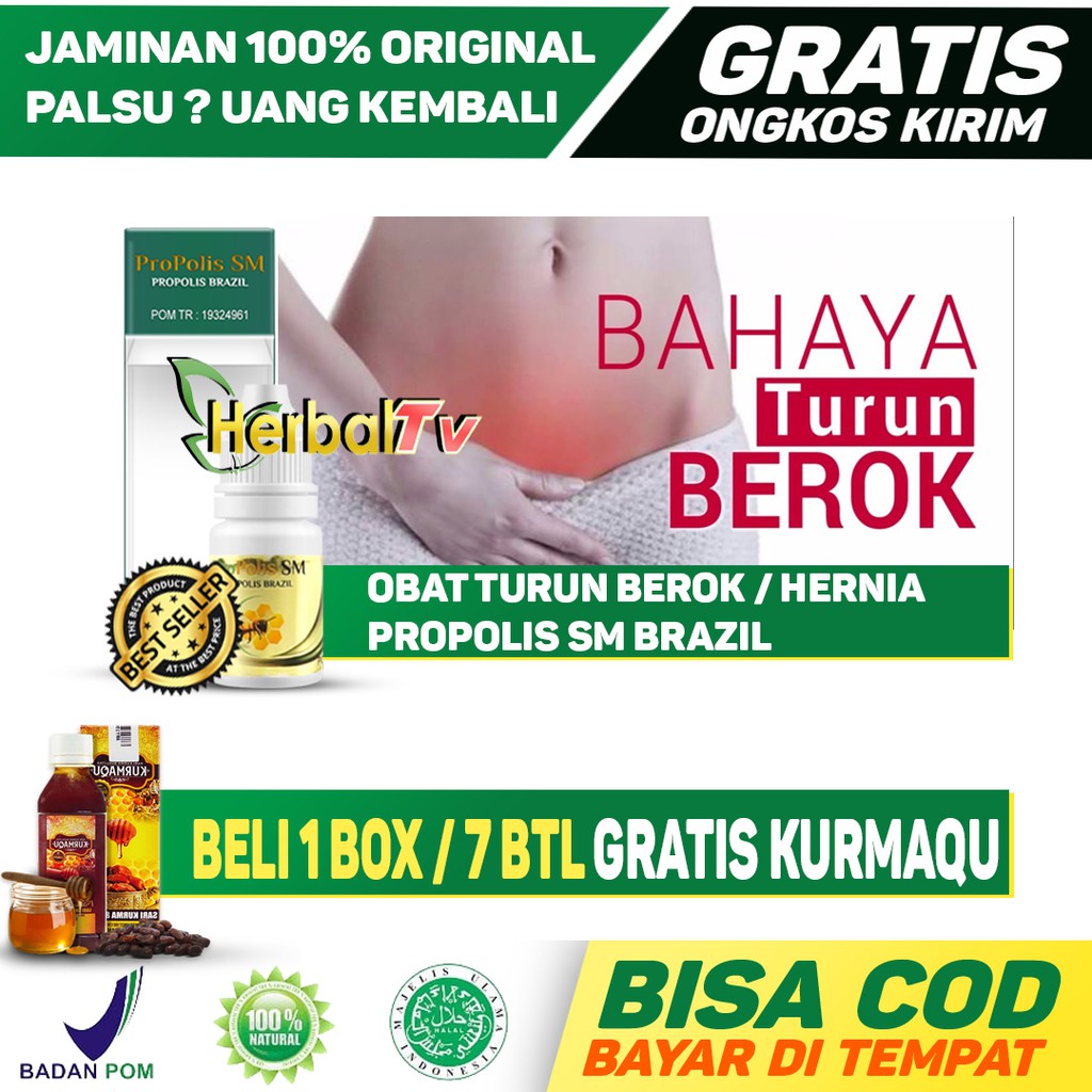 Jual Propolis SM Obat Hernia - Hernia Nukleus - Turun Bero, Berok ...