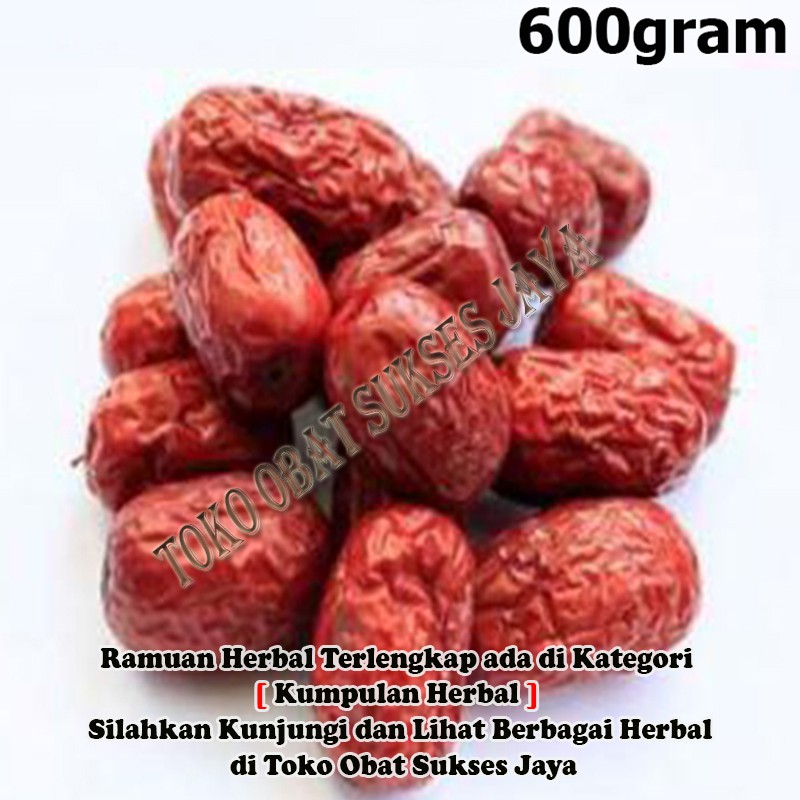 Jual [600gram] Angco / Hong Zao - [ 红枣 ] - Fructus Zizyphi Jujubae ...