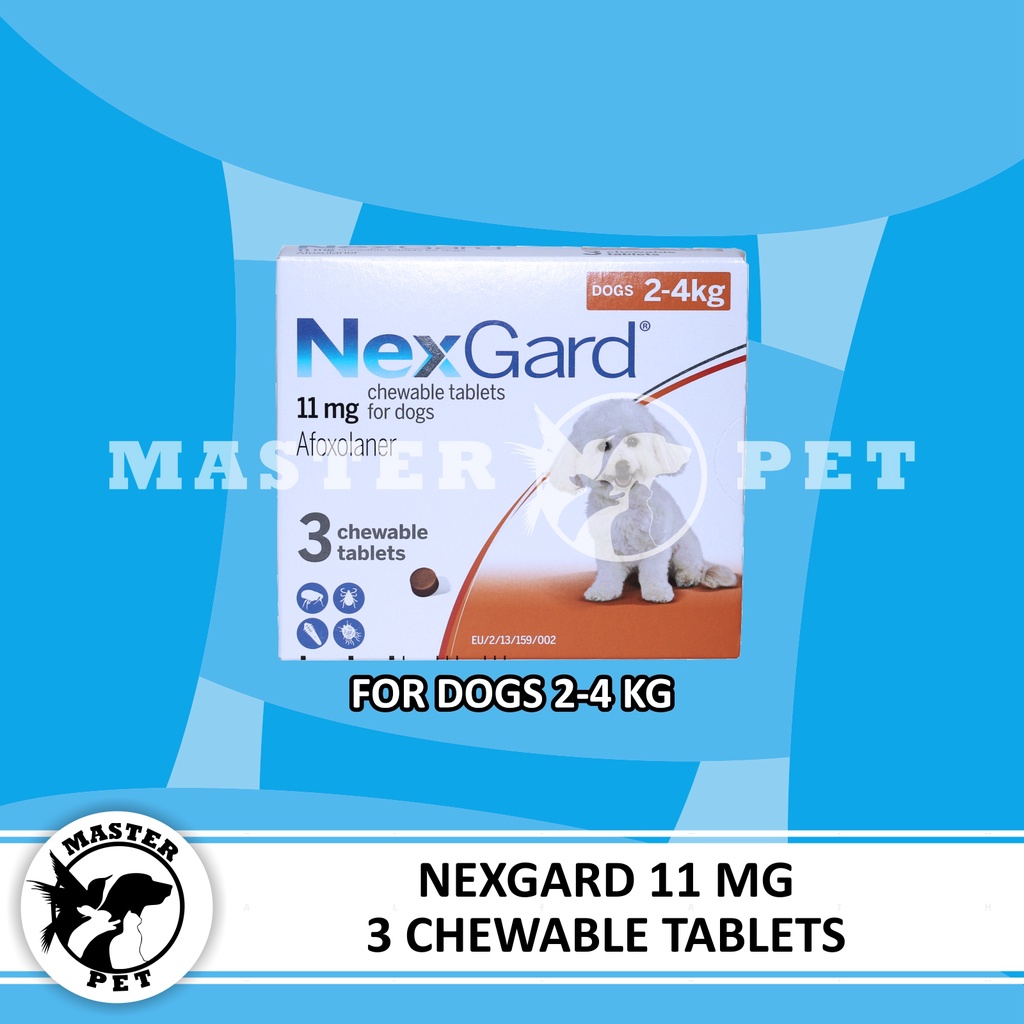 Jual Obat Kutu Tungau Demodex Anjing NexGard Tablet | Shopee Indonesia