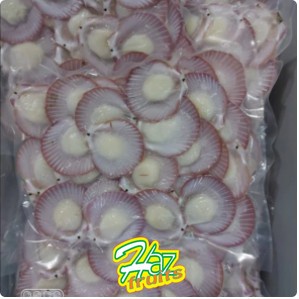 Jual KERANG SRIMPING BERSIH 500 GRAM ISI 40 sd 50 pcs I HALF SHELL ...