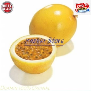 Jual Buah Markisa Terlengkap & Harga Terbaru Juli 2024 | Shopee Indonesia