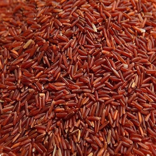 Jual Victory Seed Bibit Benih Padi Merah (Isi 5 Gram) | Shopee Indonesia