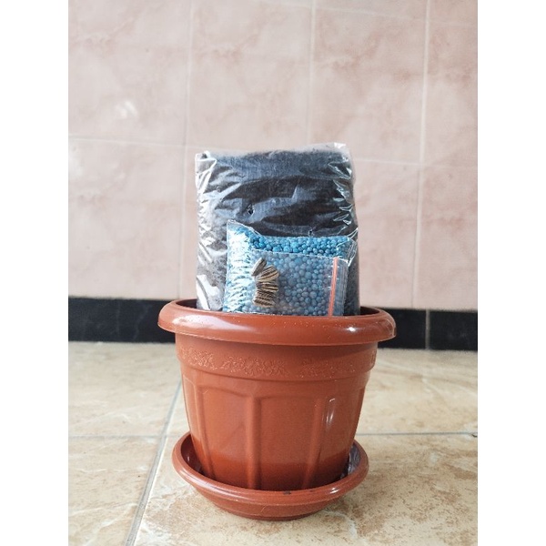 Jual paket tanaman (planting kit) | Shopee Indonesia