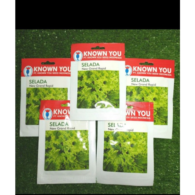 Jual Selada New Grand Rapid isi 5 gram | Shopee Indonesia