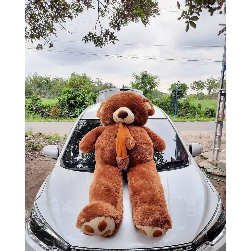 Jual original Boneka teddy bear super jumbo chosy - tinggi 160 cm berat ...