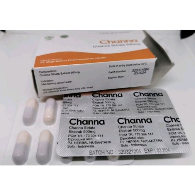 Jual CHANNA Striata 500mg capsule albumin penyembuhan luka | Shopee ...