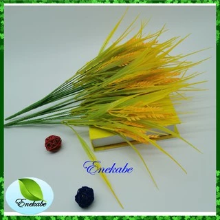 Jual Bunga Padi Terlengkap & Harga Terbaru Juli 2024 | Shopee Indonesia