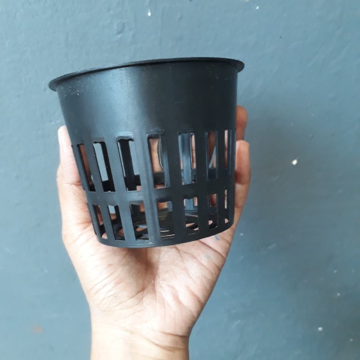 Jual Net Pot 10 cm, Pot Anggrek, Pot Hidroponik, Grosir Murah | Shopee ...